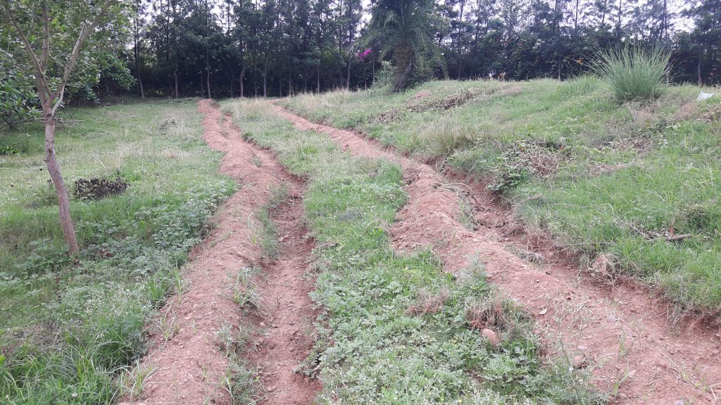 Swales - Farming for Water EIP